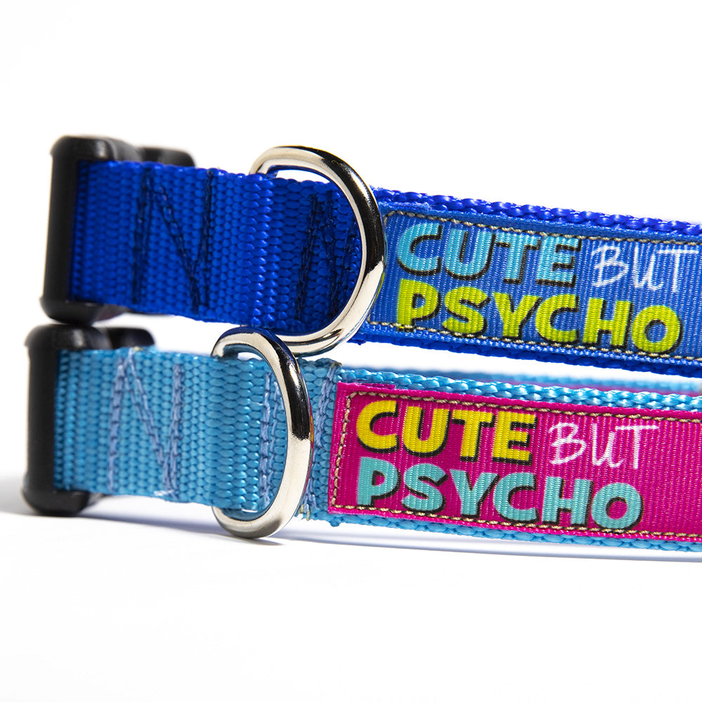 Cute but Psycho Dog Collar | Aw Paws